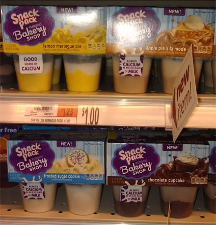 On Second Scoop: Ice Cream Reviews: Pudding and the 90 minute diet