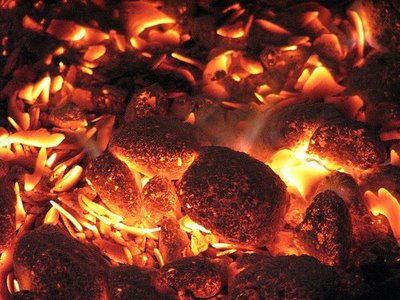 Motivasi dan Perubahan: Cara Berjalan Diatas Bara Api