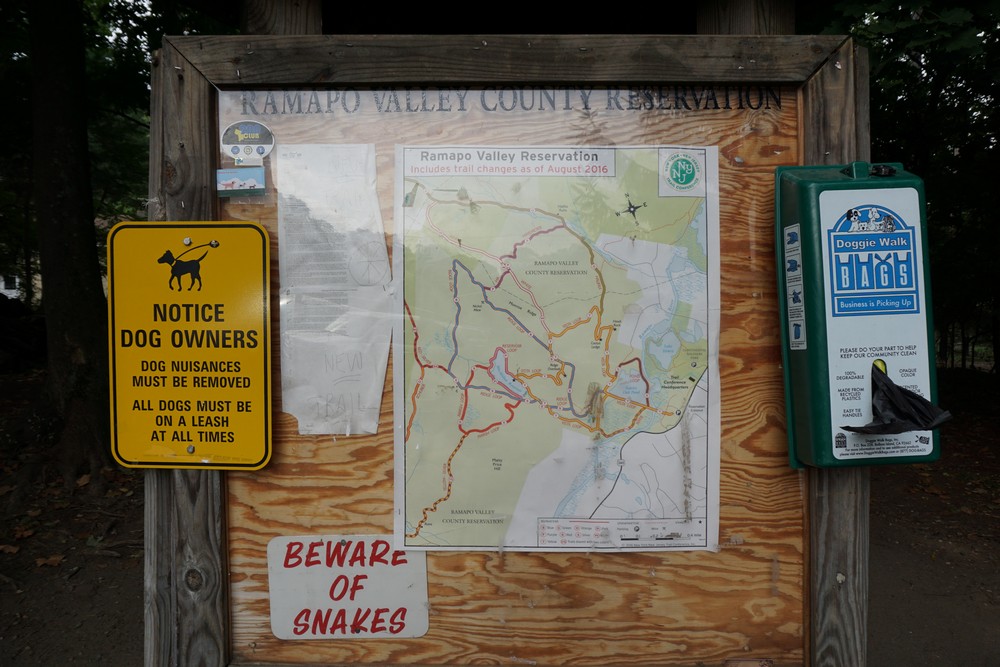 Harriman Hiker: Harriman State Park and Beyond: New Vista Loop Trail at ...