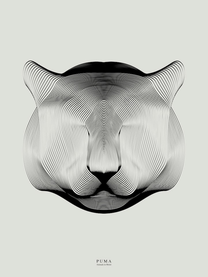 La Pera Lemonera: ANDREA MENINI