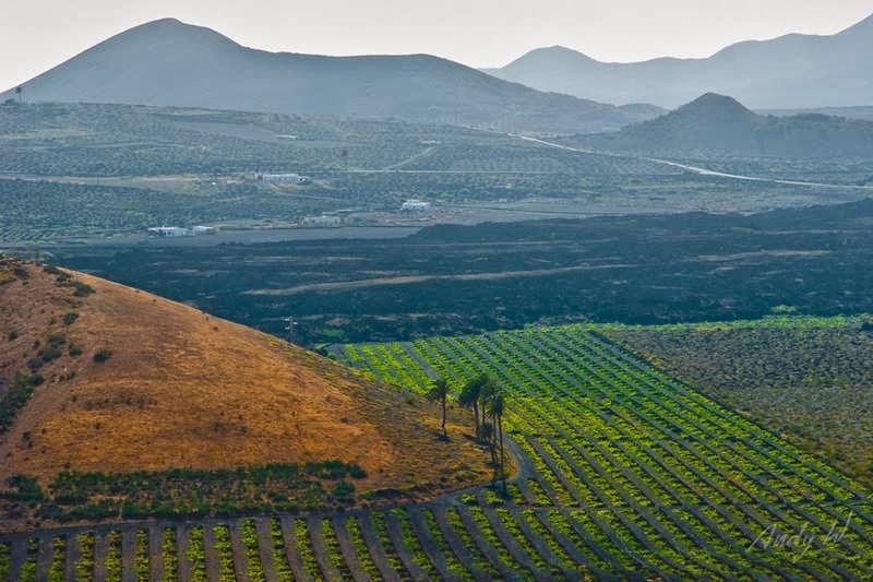 Unique Vineyards of Lanzarote, Spain