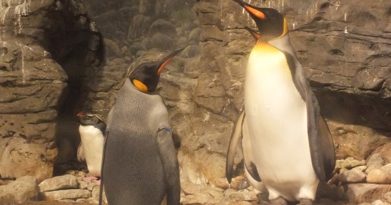 The Zoo Review: Zoo Review: Cincinnati Zoo and Botanical Garden