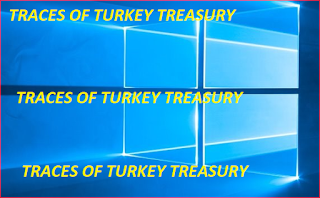HEALTHY INFORMATION: TRACES OF TURKEY TREASURY