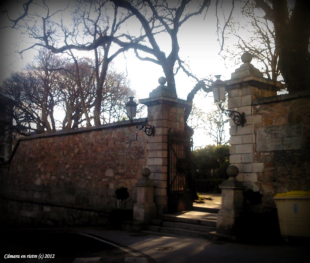 Cámara en ristre: Paseando por el jardín de San Carlos.