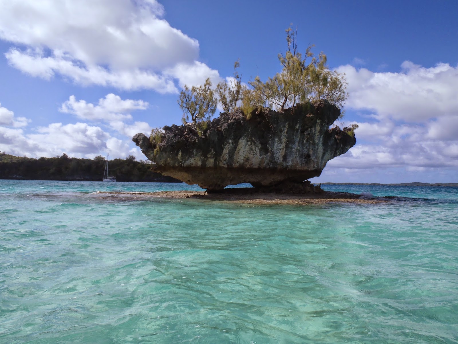 Ocean Echo 1: Lau Islands, Fiji - 2014
