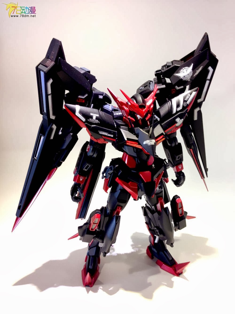 Custom Build: 1/100 Dark Matter 00 Raiser