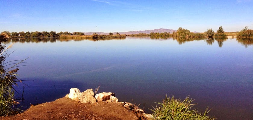 Utah Birding Spots: Bountiful Pond
