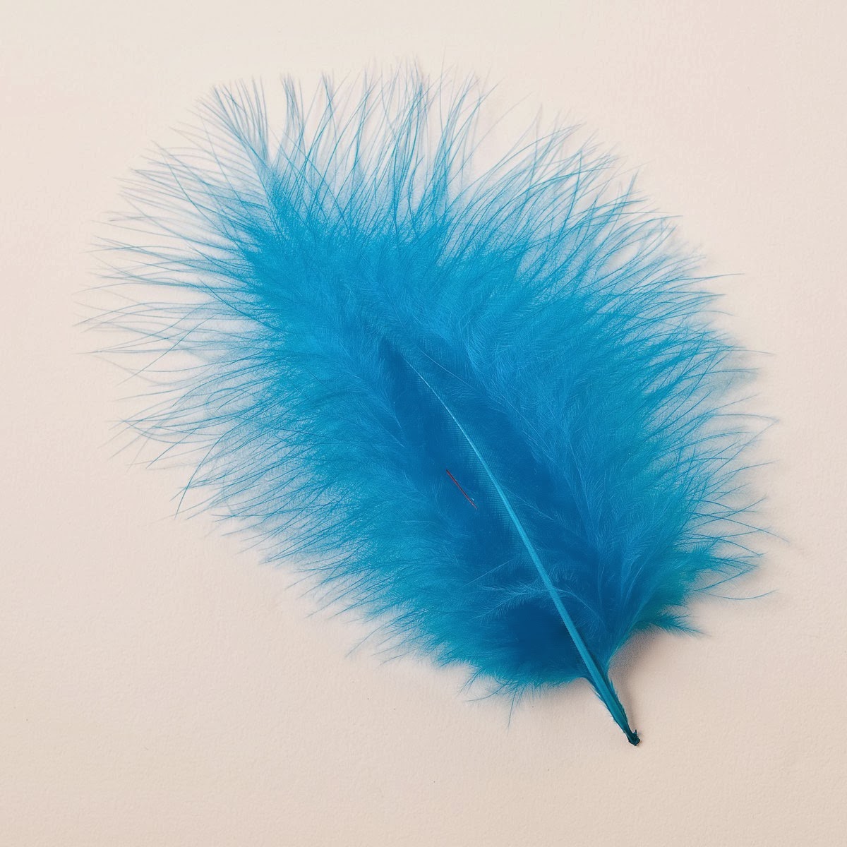 Klas vol vriendjes (Bolletjesklas): Een pluim voor onze directeur!