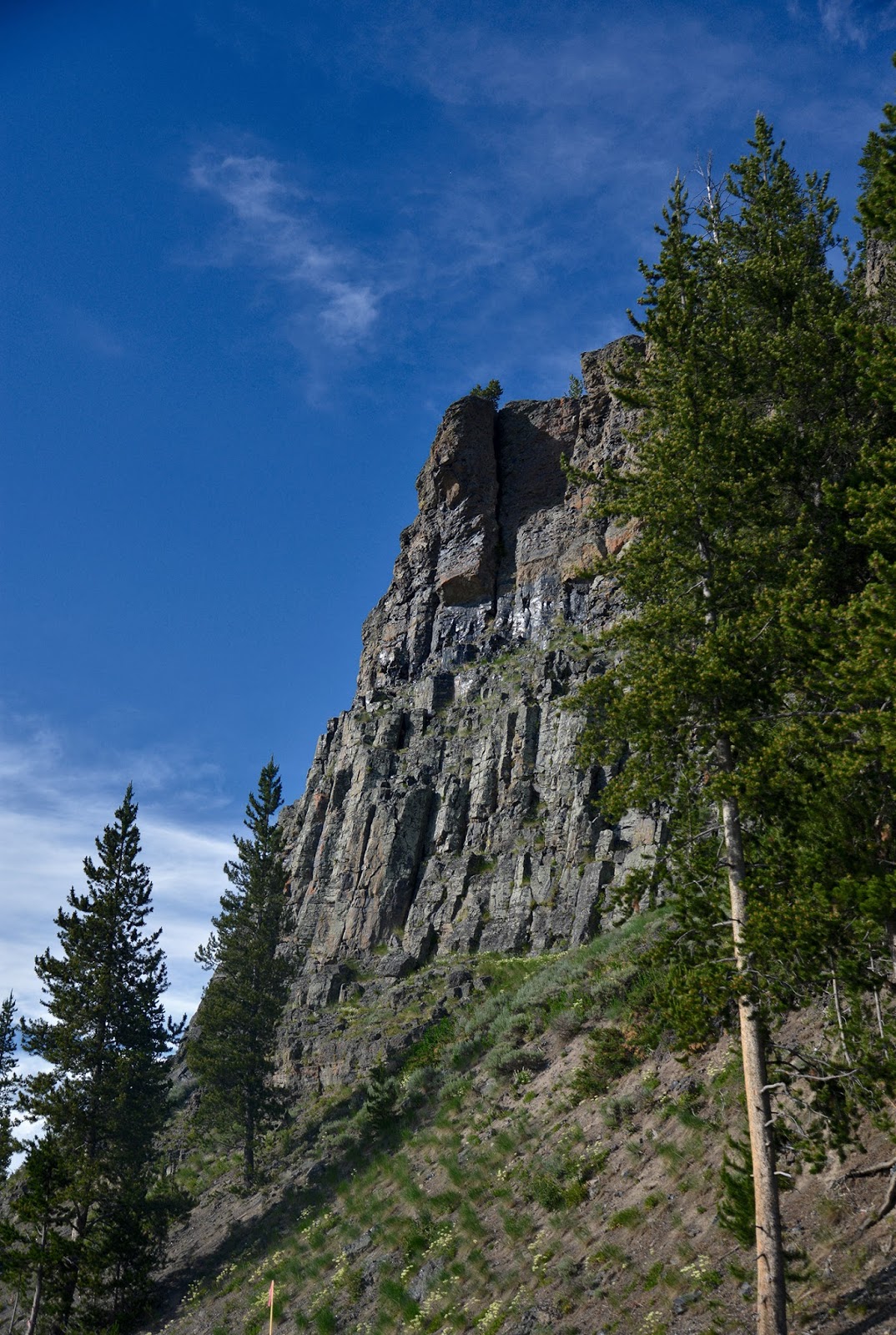Yellowstone: Obsidian Cliff - light-in-leaves