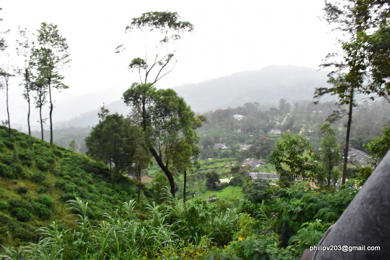 philipveerasingam: Sights on a tea estate, Walapane, Sri Lanka.