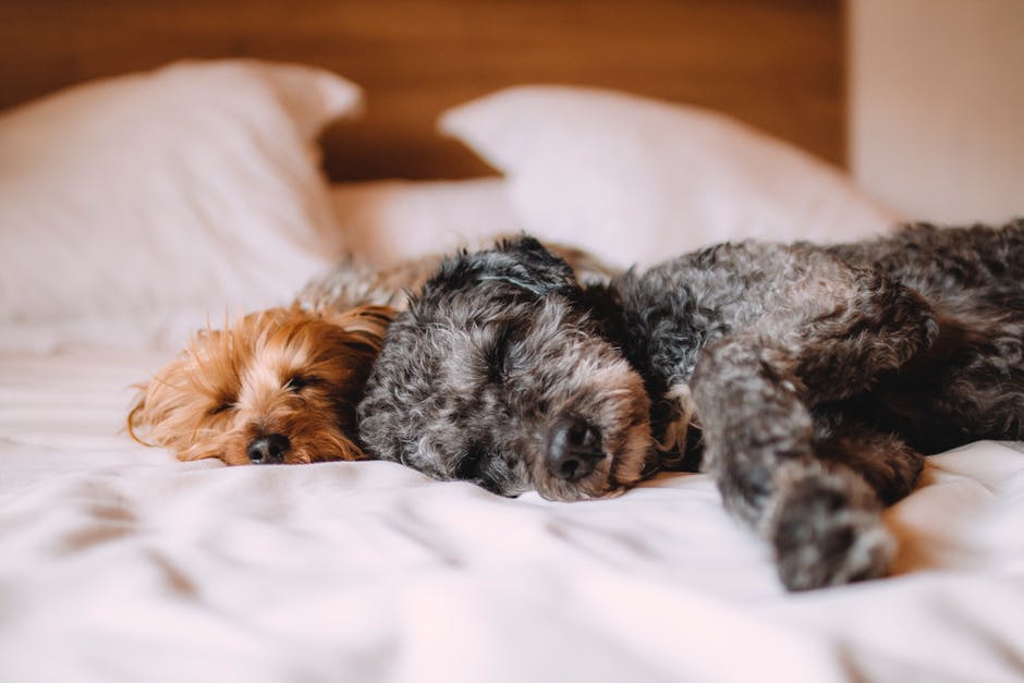 Why A Little Nap Time Helps BLOGORATTI why-a-little-nap-time-helps-blogoratti