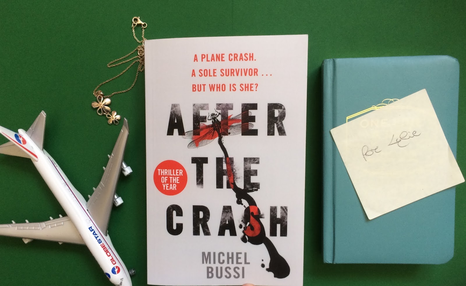 Mati's Mini Books reviews: Book Review: After the crash - Michel Bussi