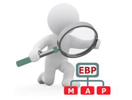 Min Kusine Maria: ASHA's Evidence maps