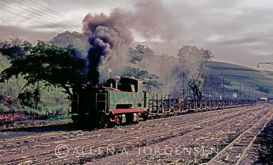 old STEAM LOCOMOTIVES in South Africa: Miscellaneous Cane Tramway Images