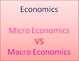 Difference Between Micro And Macro Economics Notes