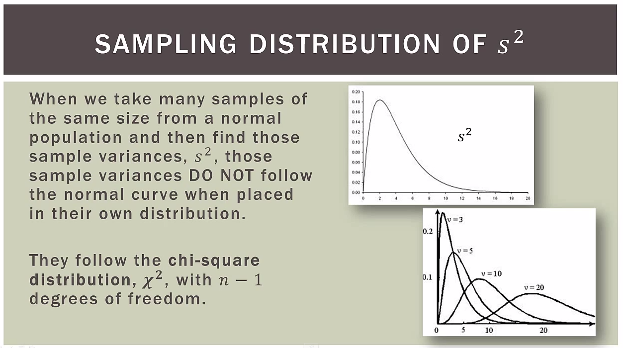 Sampling Distribution What Is It