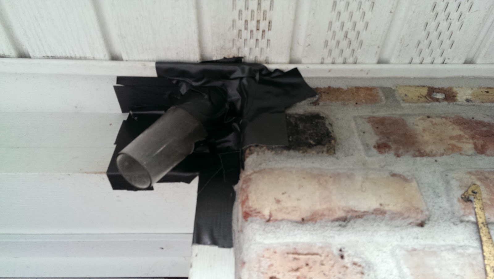 Bat removal in New Orleans: Bat proofing a New Orleans home