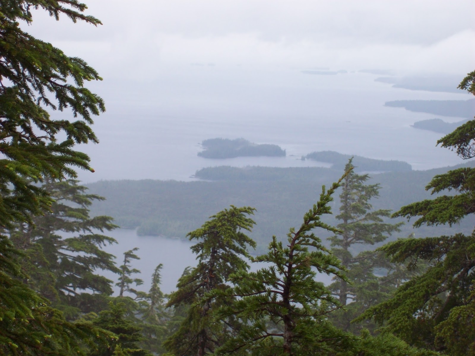 Have Book, Will Travel: Deer Mountain Trail, Ketchikan, Alaska