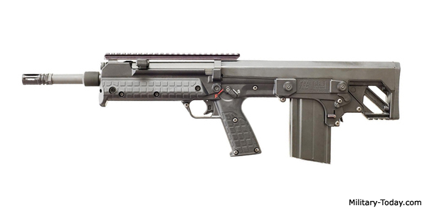 Defensa y Armas: Fusil semi automatico Kel-Tec RFB (EEUU)