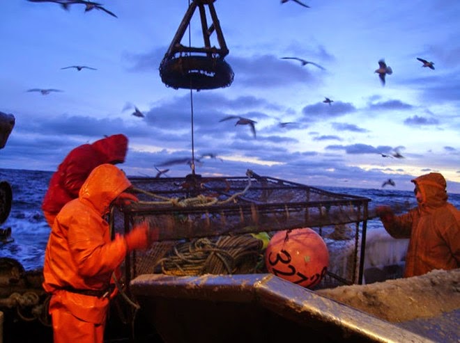 Follow the fishermen catch giant king crab in Alaska ~ LOVE NATURE 24H