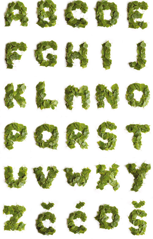 Graffiti Alphabet leaf model at Graffiti Art Design