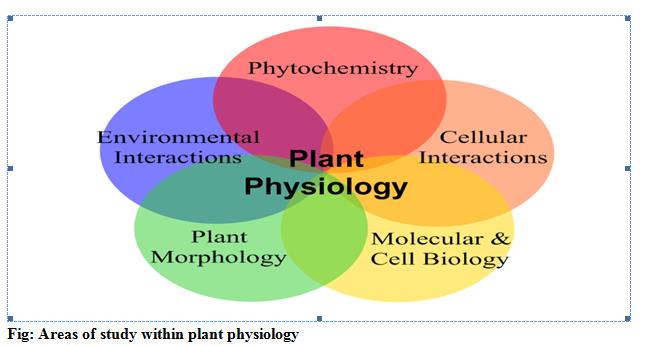 Introduction to Plant Physiology ~ Dhiraj's Blog