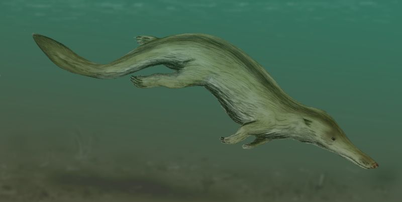 Los animales en la prehistoria: agosto 2013