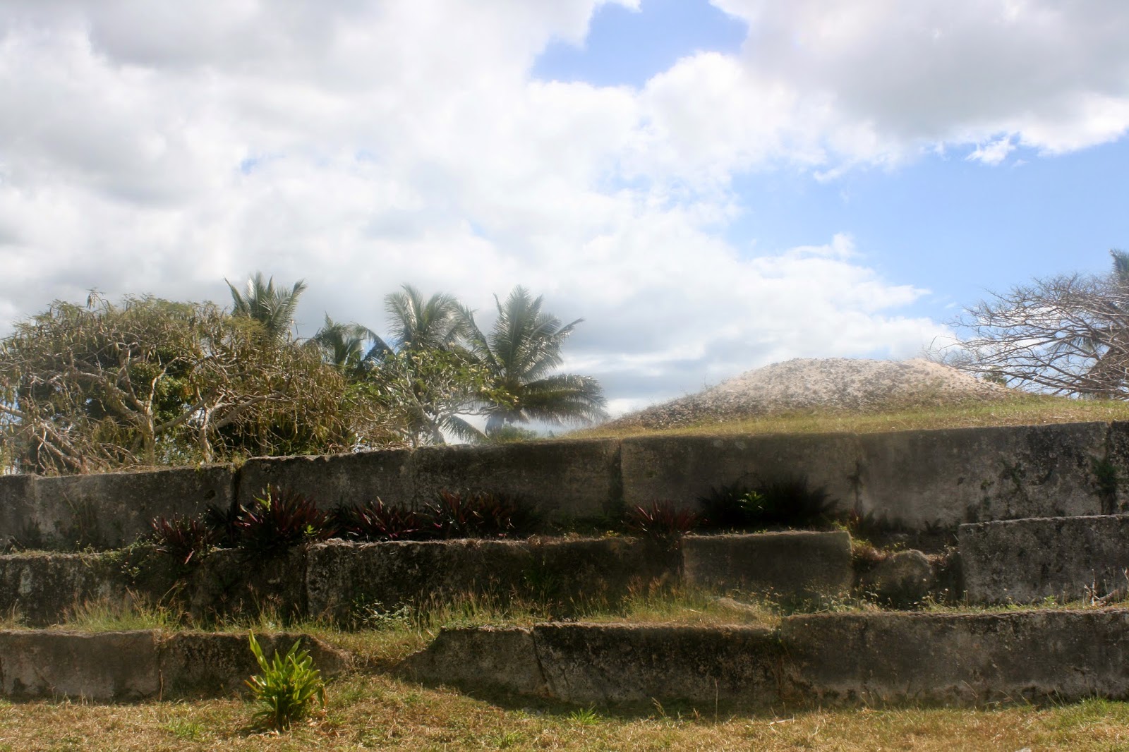 Mission To The Land of The Long White Cloud: Royalty in Tonga