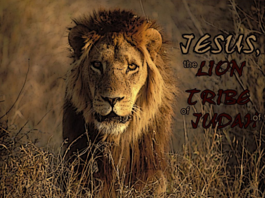 Love For His People: He is...the Lion of the Tribe of Judah.