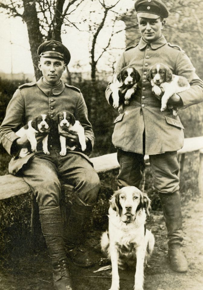14 Heartwarming Vintage Photographs of Soldiers Posing With Their Dogs ...