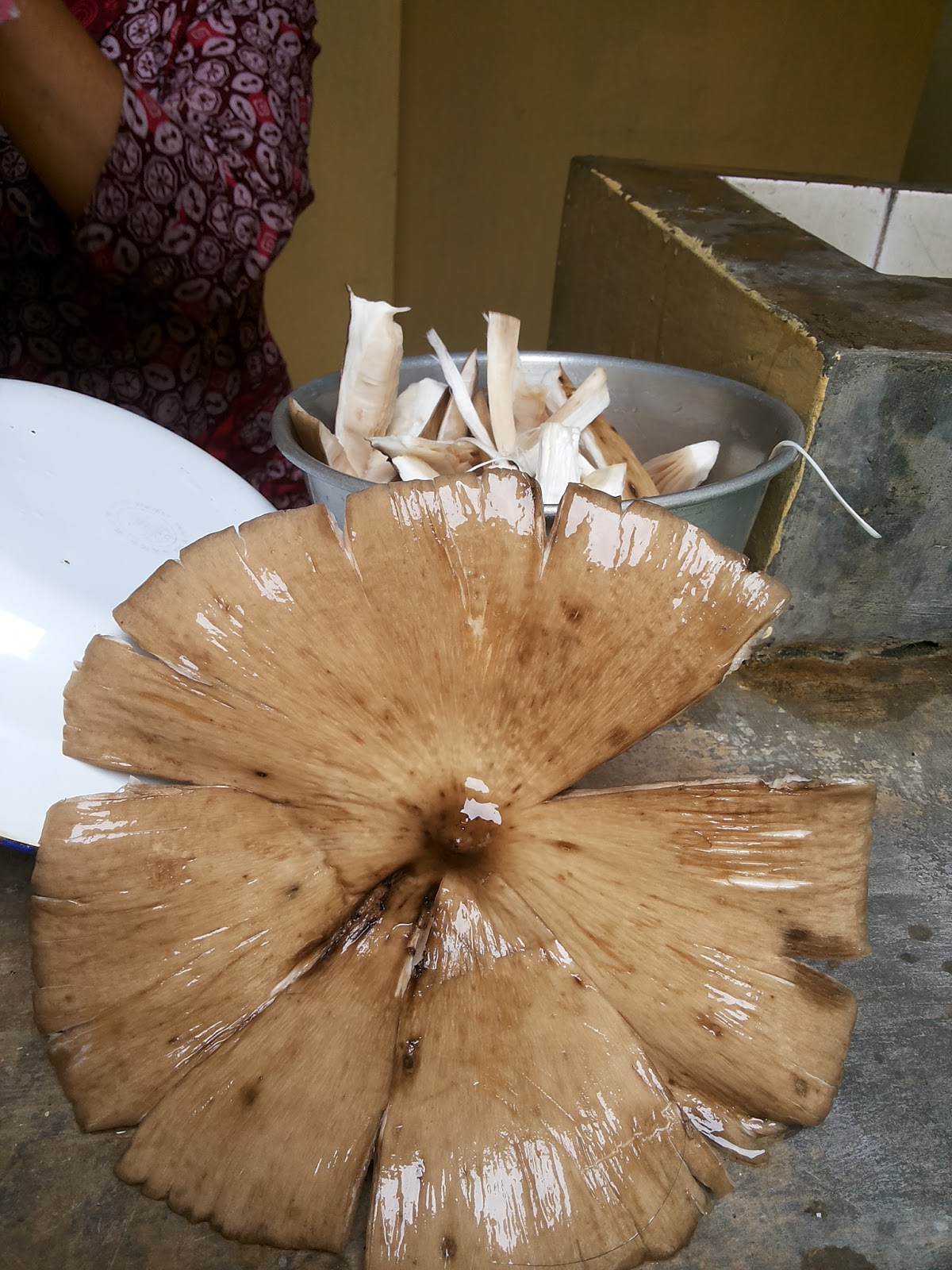 Jamuran, Jamur, Jamur Wulan, Jamur Truffle - 𝕨𝕨𝕨.𝕕𝕒𝕚𝕝𝕪-𝕨𝕚𝕗𝕖.𝕔𝕠𝕞