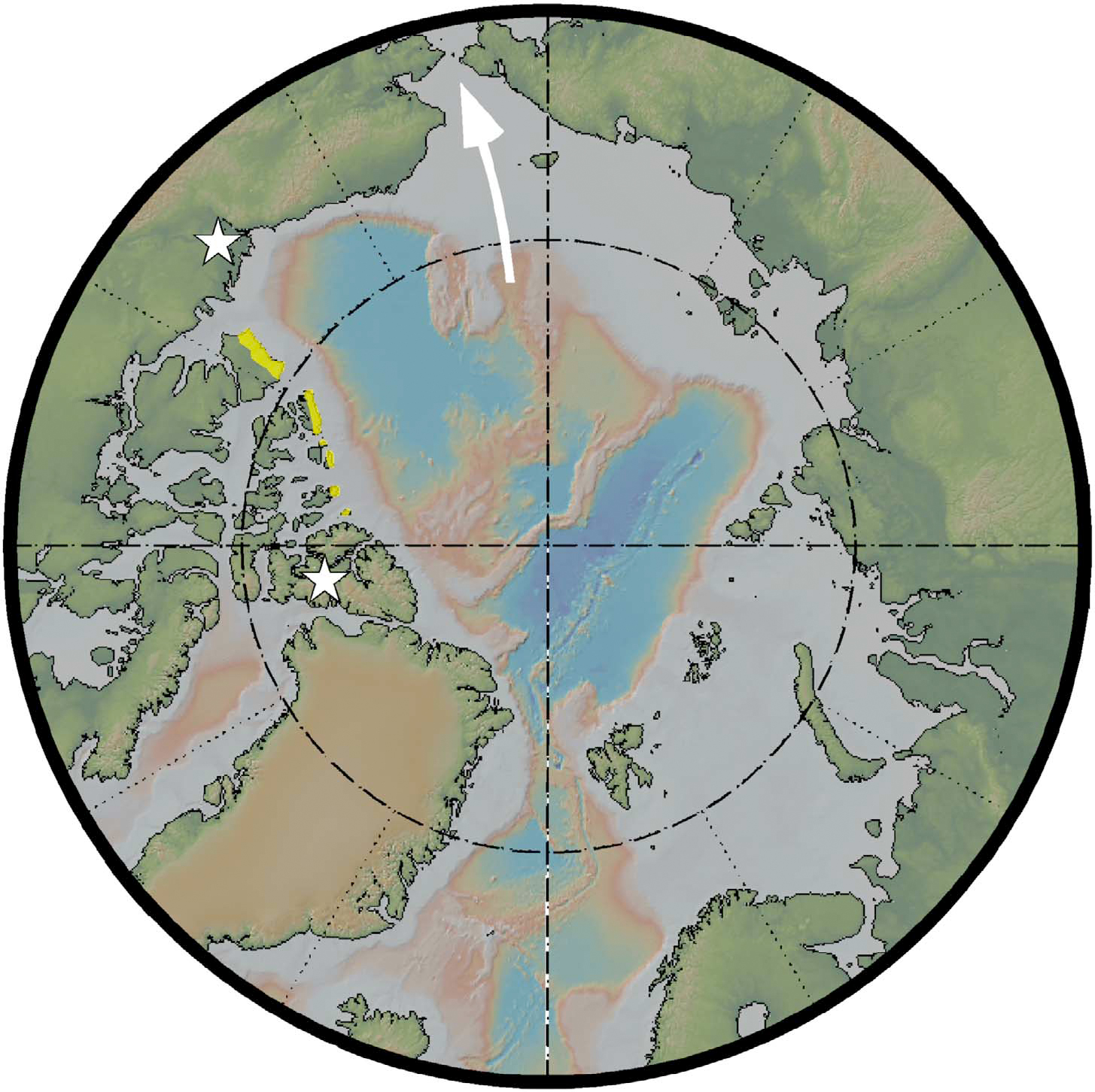 Sciency Thoughts: A Giant Camel from the mid-Pliocene of Ellesmere ...