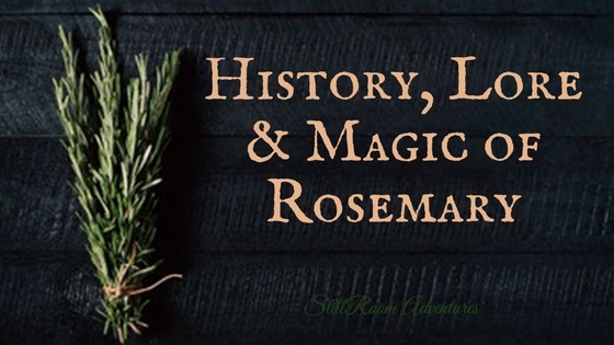 History, Lore and Magic of Rosemary