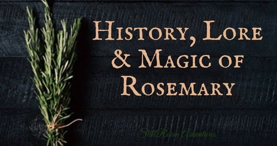 History, Lore and Magic of Rosemary