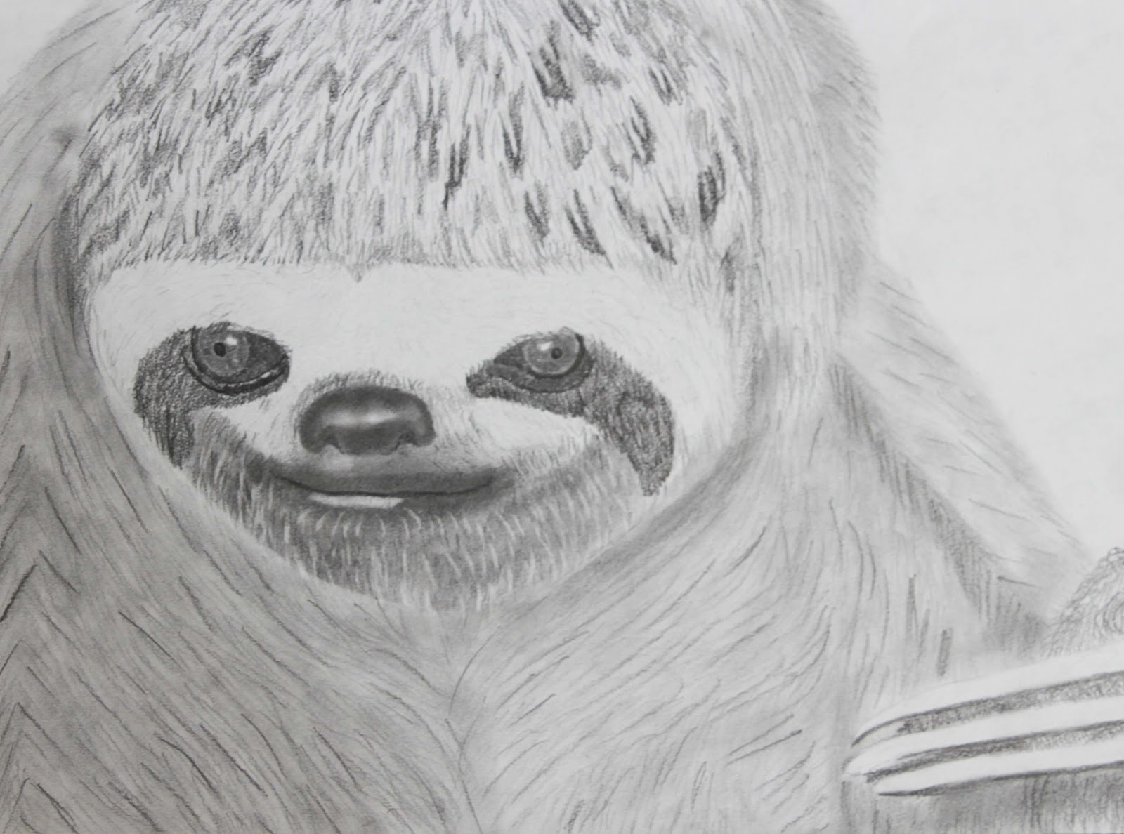 Student Art: Graphite Animals