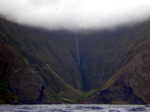 Latitude Options: Wailau Valley Secrets, Molokai, Hawaii