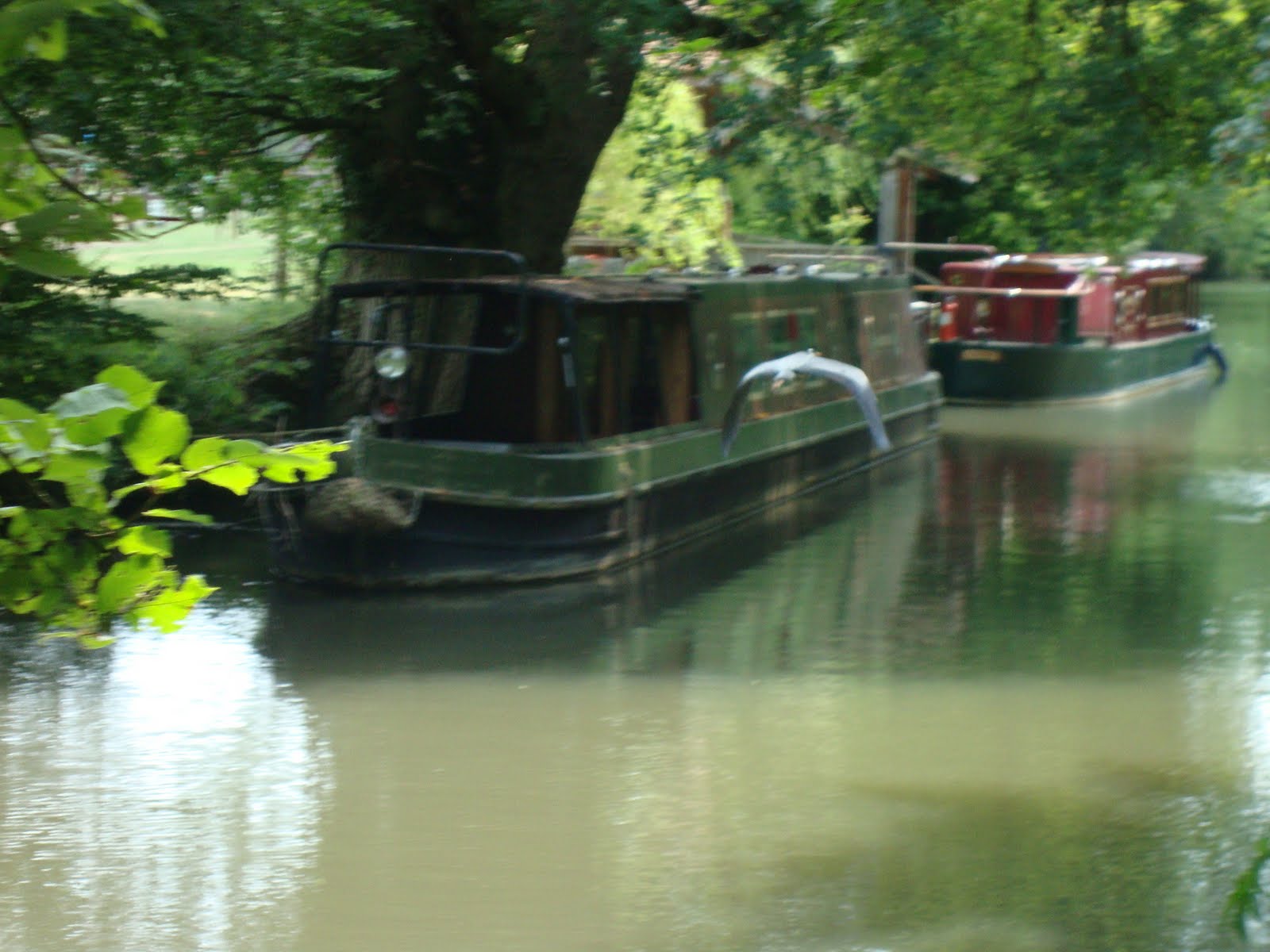 Walksalot: Basingstoke Canal - Greywell (lock 30) to Barley Mow Bridge ...
