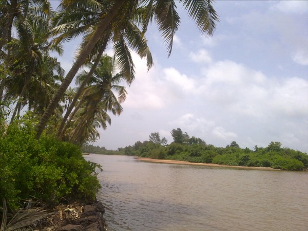KERALA THE LAND OF RIVERS /FISHES WATERFALLS/ BEACH/ LAKE/ DAMS ...