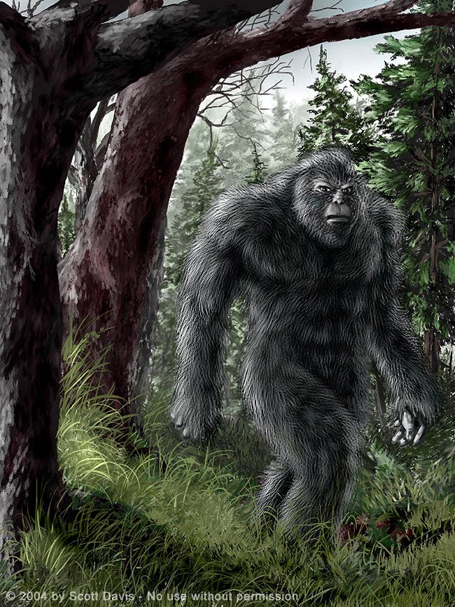 Bizarre Bigfoot: Displaced Bigfoot