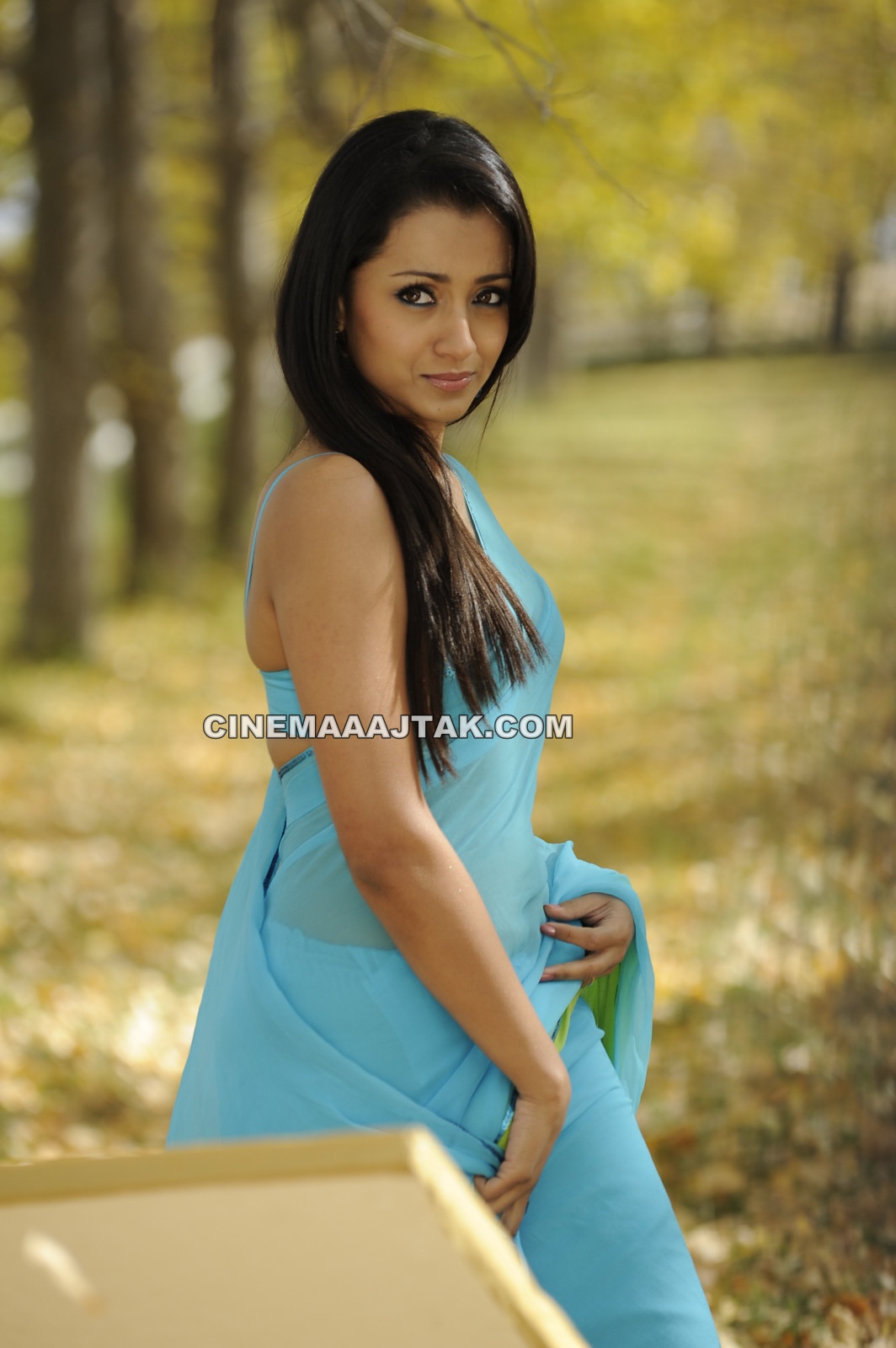 Hot Bollywood Actress: Trisha Hot Transparent Saree Stills, Trisha ...