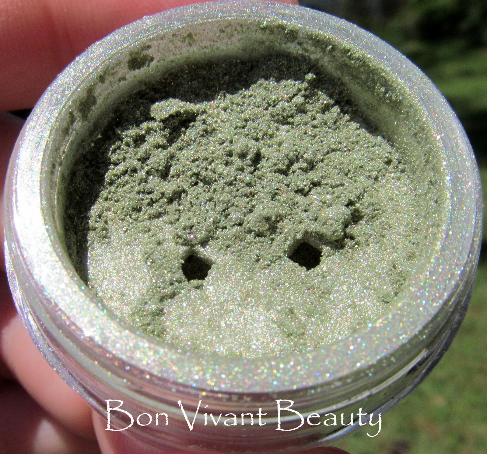 Bon Vivant Beauty: e.l.f. Earthy Mineral Eyeshadow: Review, Swatches ...