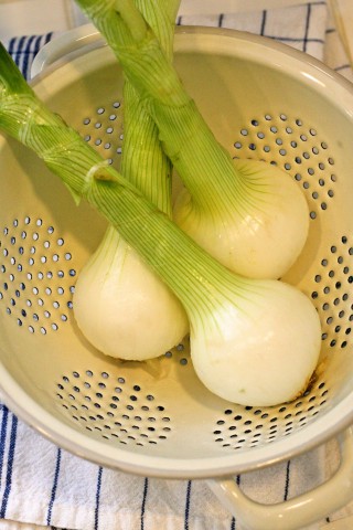 Perfectly imperfect : Japanese Style Spring Onion Dressing