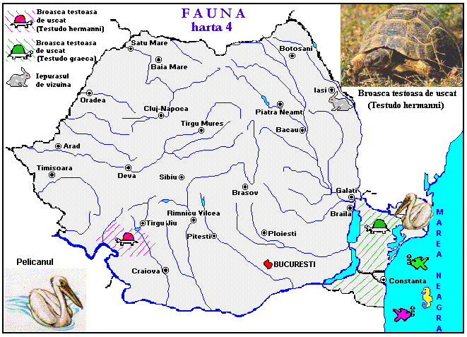 Save the planet!: Fauna României:hărţi cu răspândirea geografică a ...