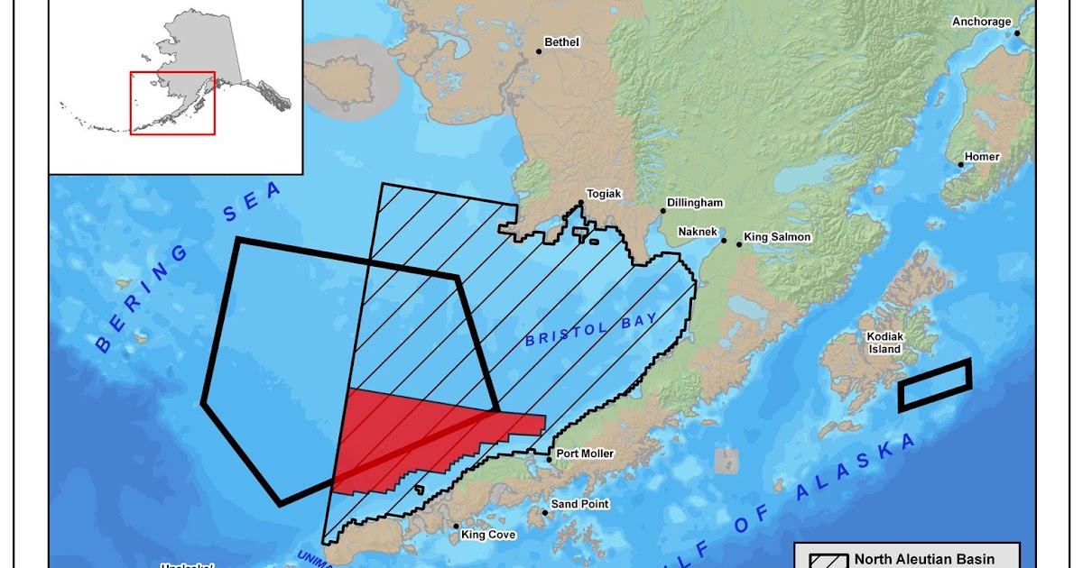 North Pacific Right Whale: Protection