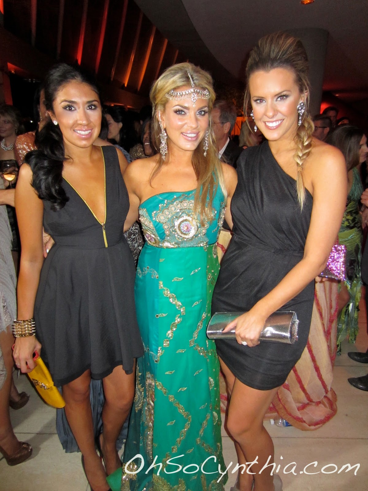 2011 Dallas Symphony Orchestra Gala was All the Raj ~ Oh So Cynthia