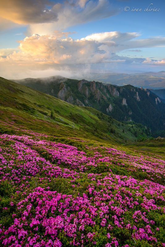 Ioan Chiriac Photography : Curcubeul naturii. Imagini la apus din ...