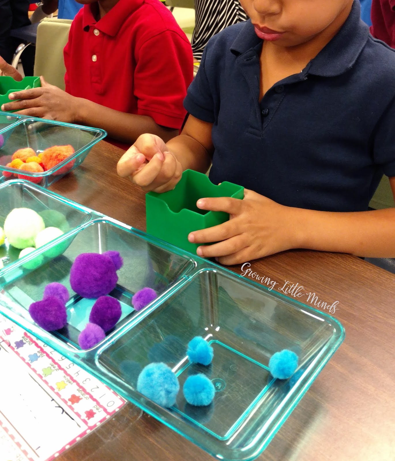 Growing Little Minds: Categorizing and Sorting in Kindergarten