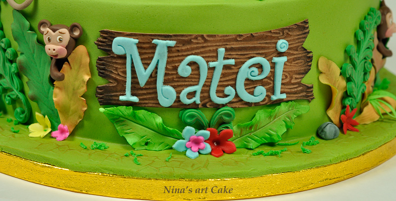 Nina's Art Cake: Tort Jungle book 2