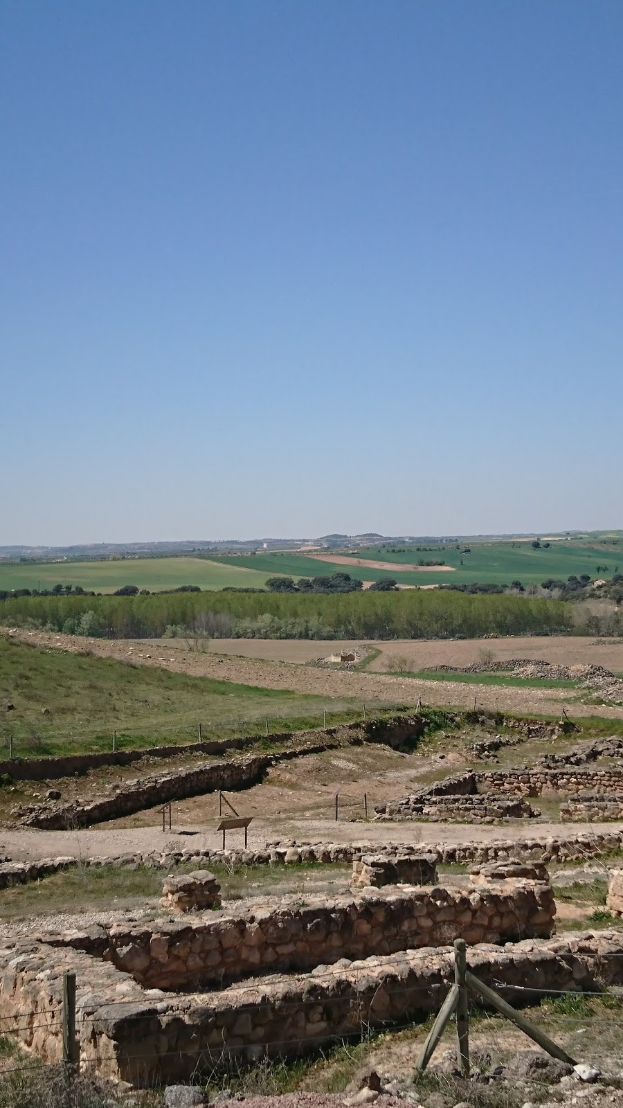 Descubriendo Recópolis: una ciudad única entre visigodos, andalusíes y ...