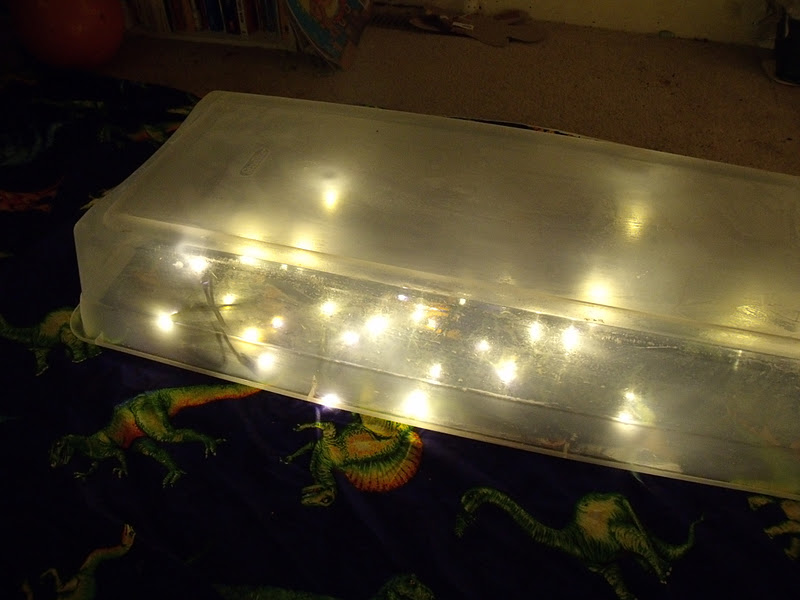 What's Fun Today?: Sticky Light Table